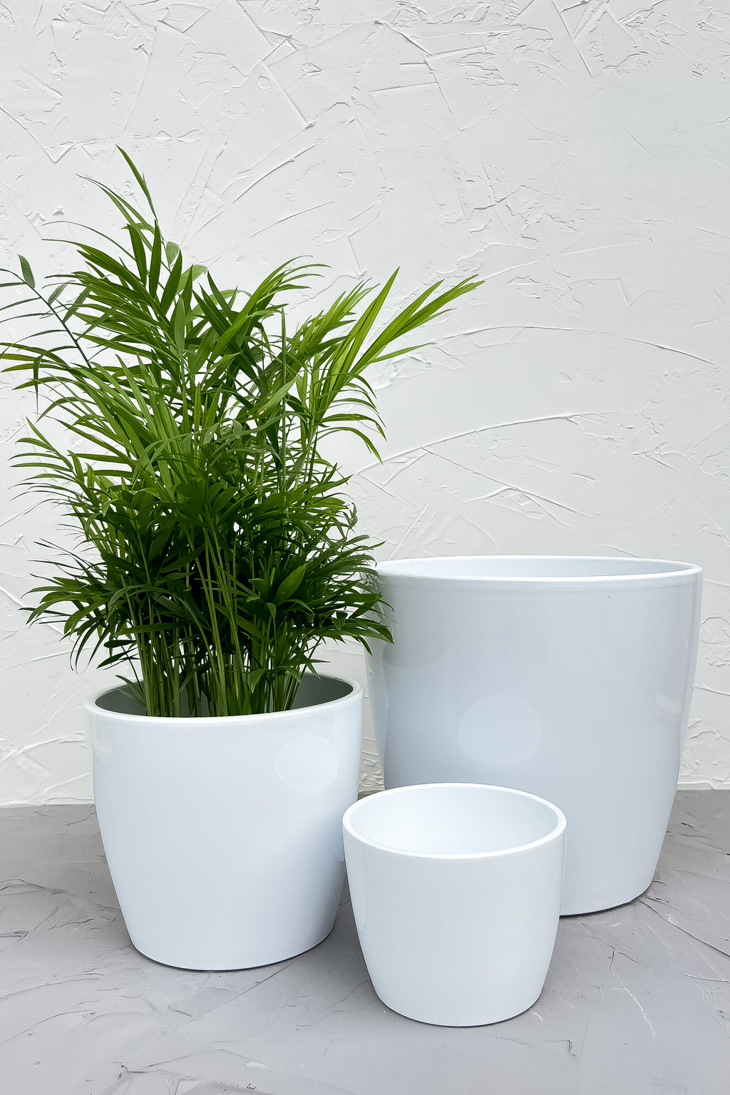 Luna Ceramic Pot – Sweet Violets Flowers